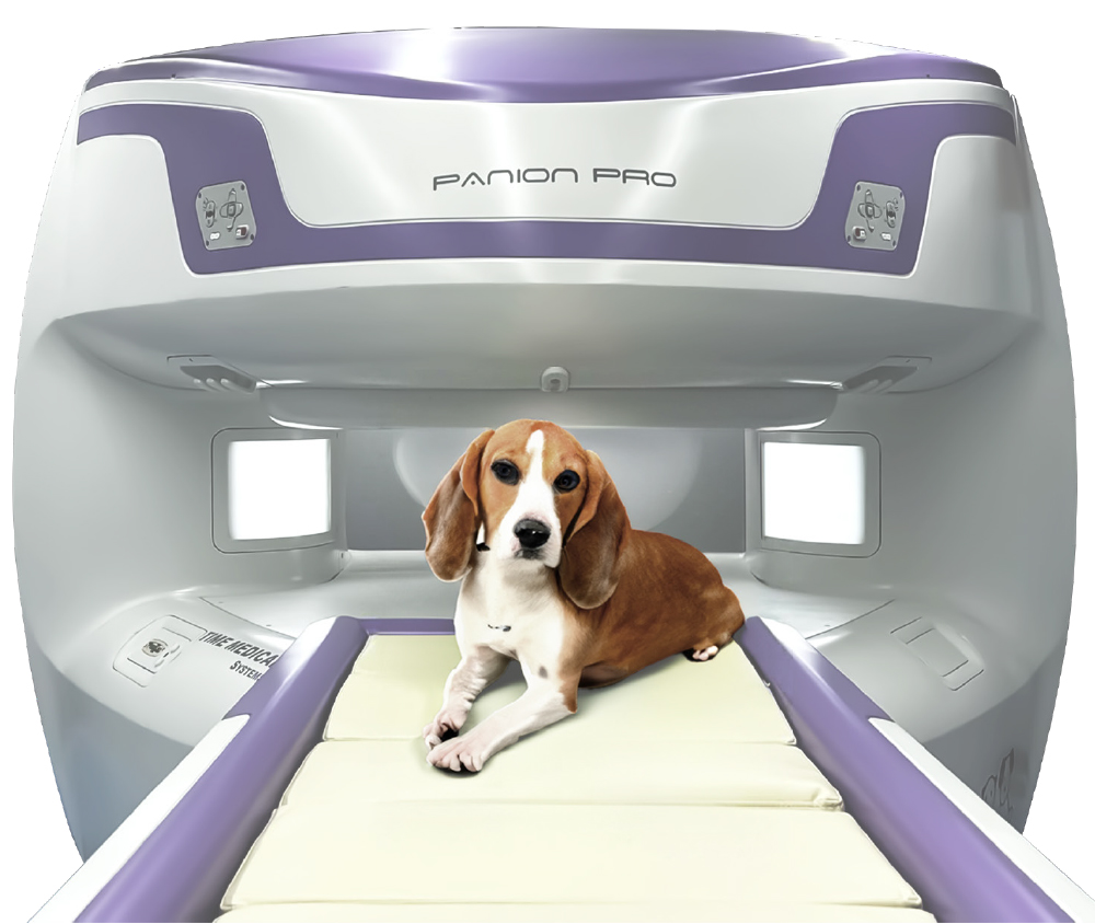 PANION PRO MRI - Veterinaria